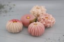 Make Japanese Sweets with Demonstration at Wagashi Issho, Kyoto