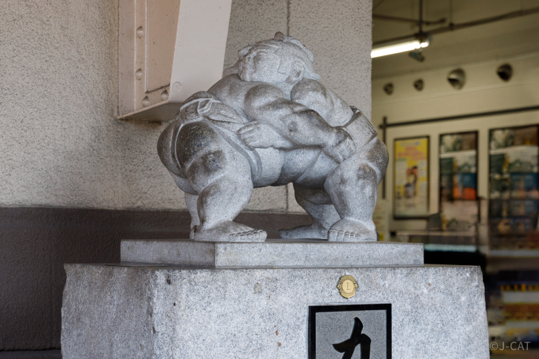 Observe Sumo Training at a Sumo Stable in Ryogoku, Tokyo – with Expert ...