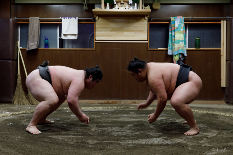 Observe Sumo Training at a Sumo Stable in Ryogoku, Tokyo – with Expert ...