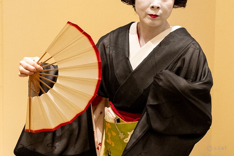 Experience Authentic Geisha Entertainment in Asakusa Including Rare ...