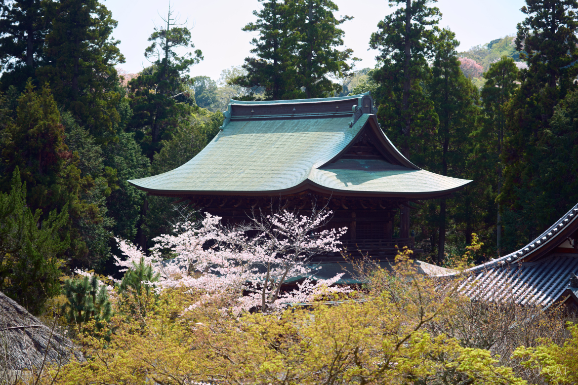 Explore the Connection Between Zen and the Martial Arts with a ...