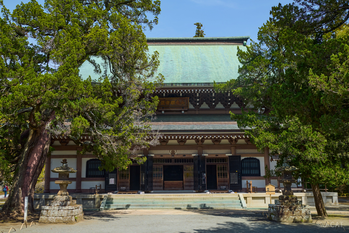 Explore the Connection Between Zen and the Martial Arts with a ...