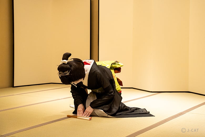 Experience Authentic Geisha Entertainment in Asakusa Including Rare ...
