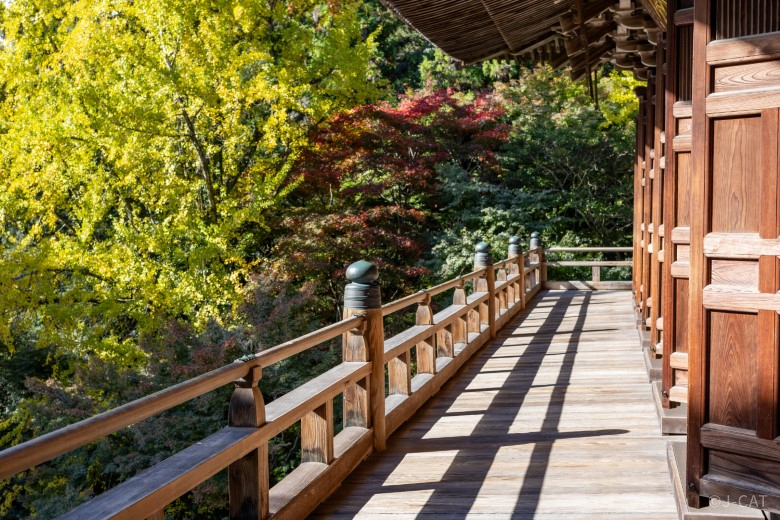Private Visit to Himeji’s Mount Shosha Engyoji Temple for Vegetarian ...