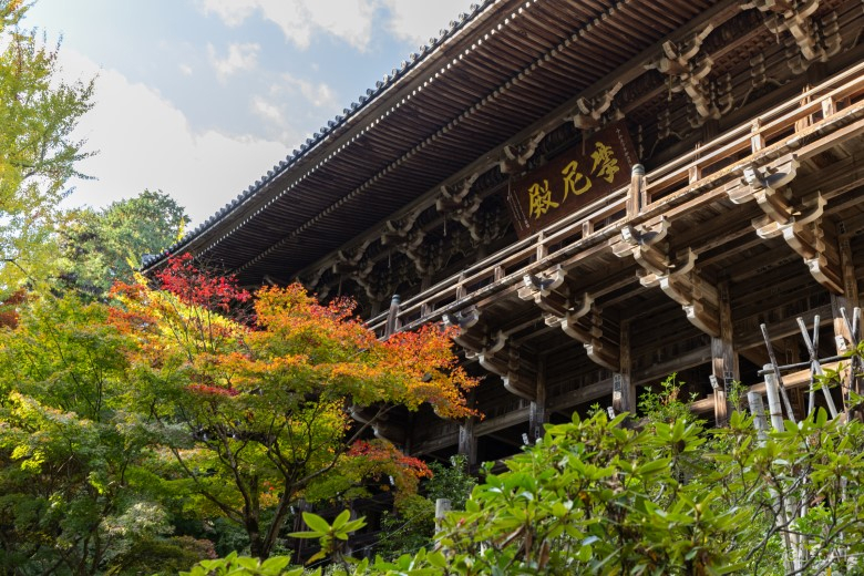 Private Visit to Himeji’s Mount Shosha Engyoji Temple for Vegetarian ...