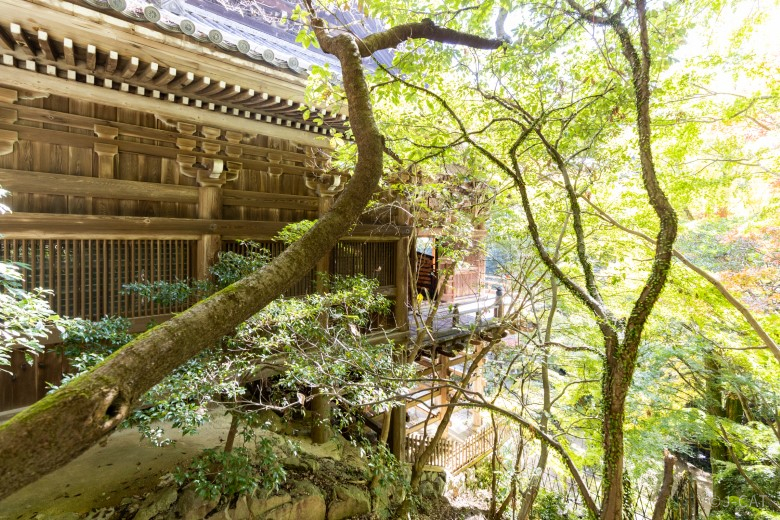 Private Tour and Zazen Meditation Led by the 141st Chief Priest at ...