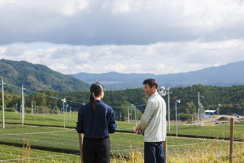 Tea Plantation Tour and Organic Green Tea Tasting in the Birthplace of ...