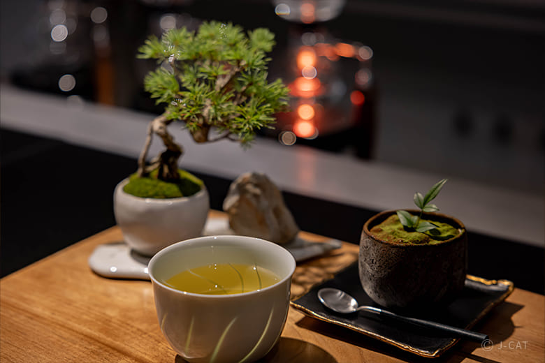 Enjoy Siphon-Brewed Tea and Admire Bonsai at a Siphon Specialty Shop in ...