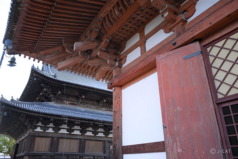 Exclusive Private Tour of Toji Temple, a World Heritage Site, with a ...