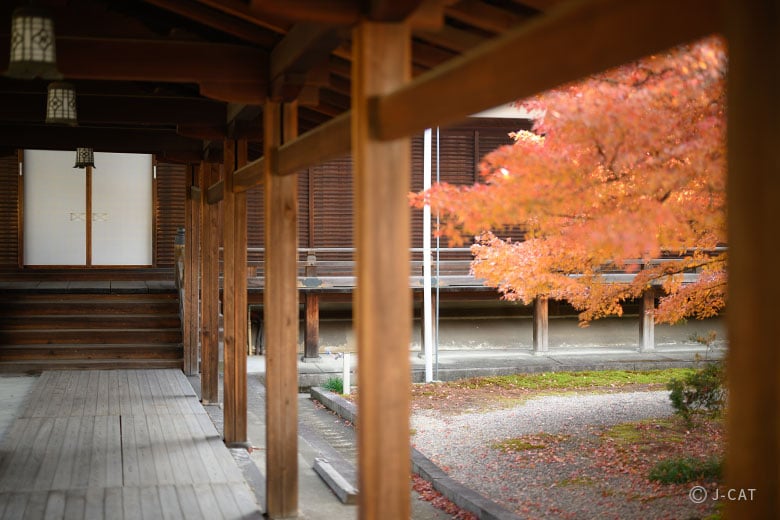 Exclusive Private Tour of Toji Temple, a World Heritage Site, with a ...