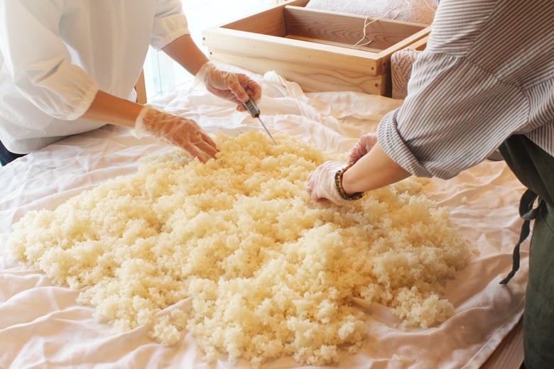 Koji Making at Umekoji Fermentation Factory Kyoto – Snacks and Seasonal ...